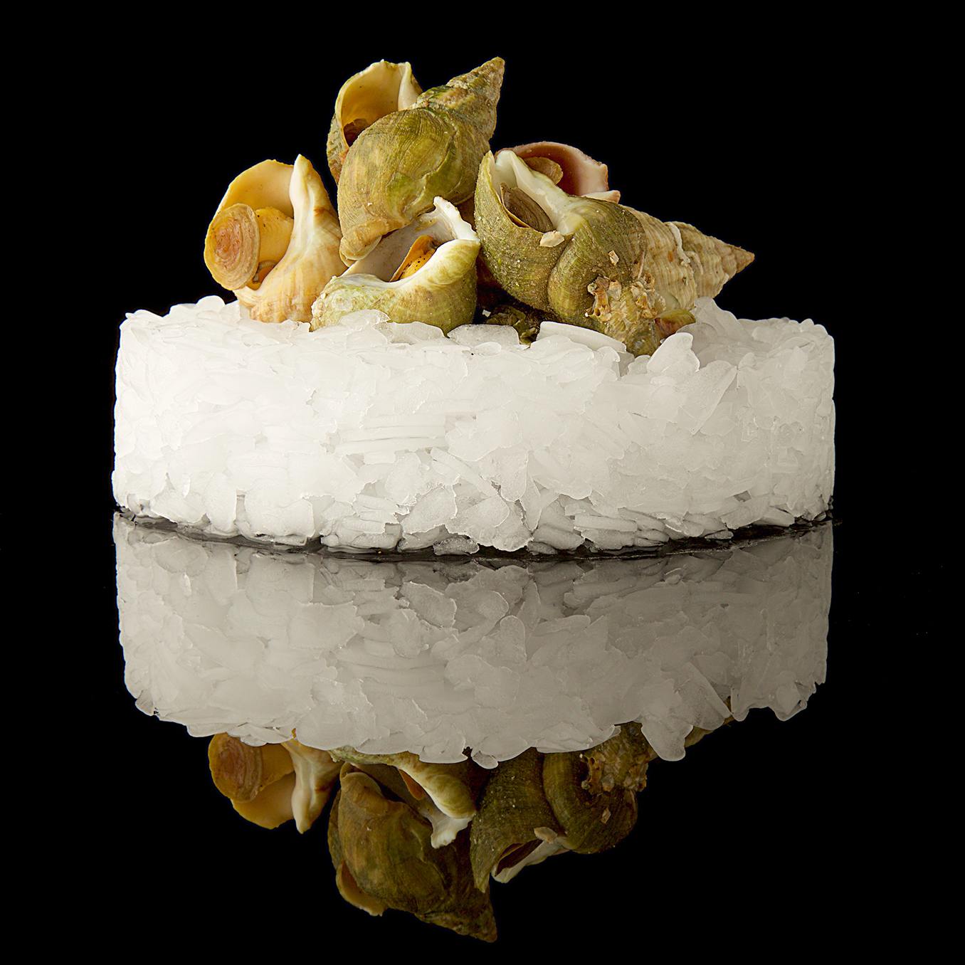 Bulots cuits (150 g) - Coulommiers Marée, votre poissonnier préféré