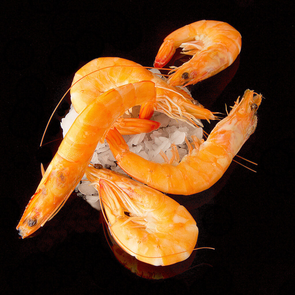 Crevettes roses élevages Equateur (5 pièces) - Coulommiers Marée, votre ...